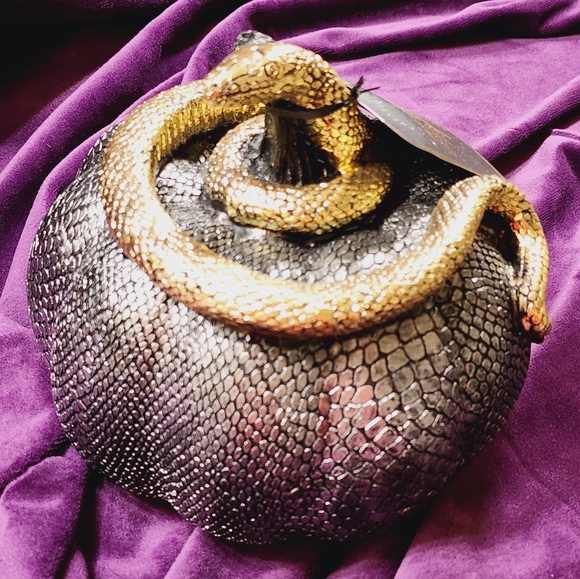 Spooky Night | Holiday | Authentique Spooky Night Snakeskin Pumpkin ...